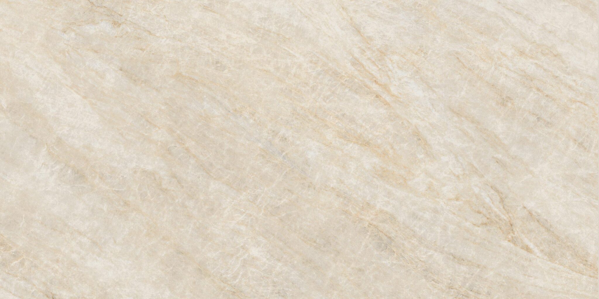 Oyster - IWT